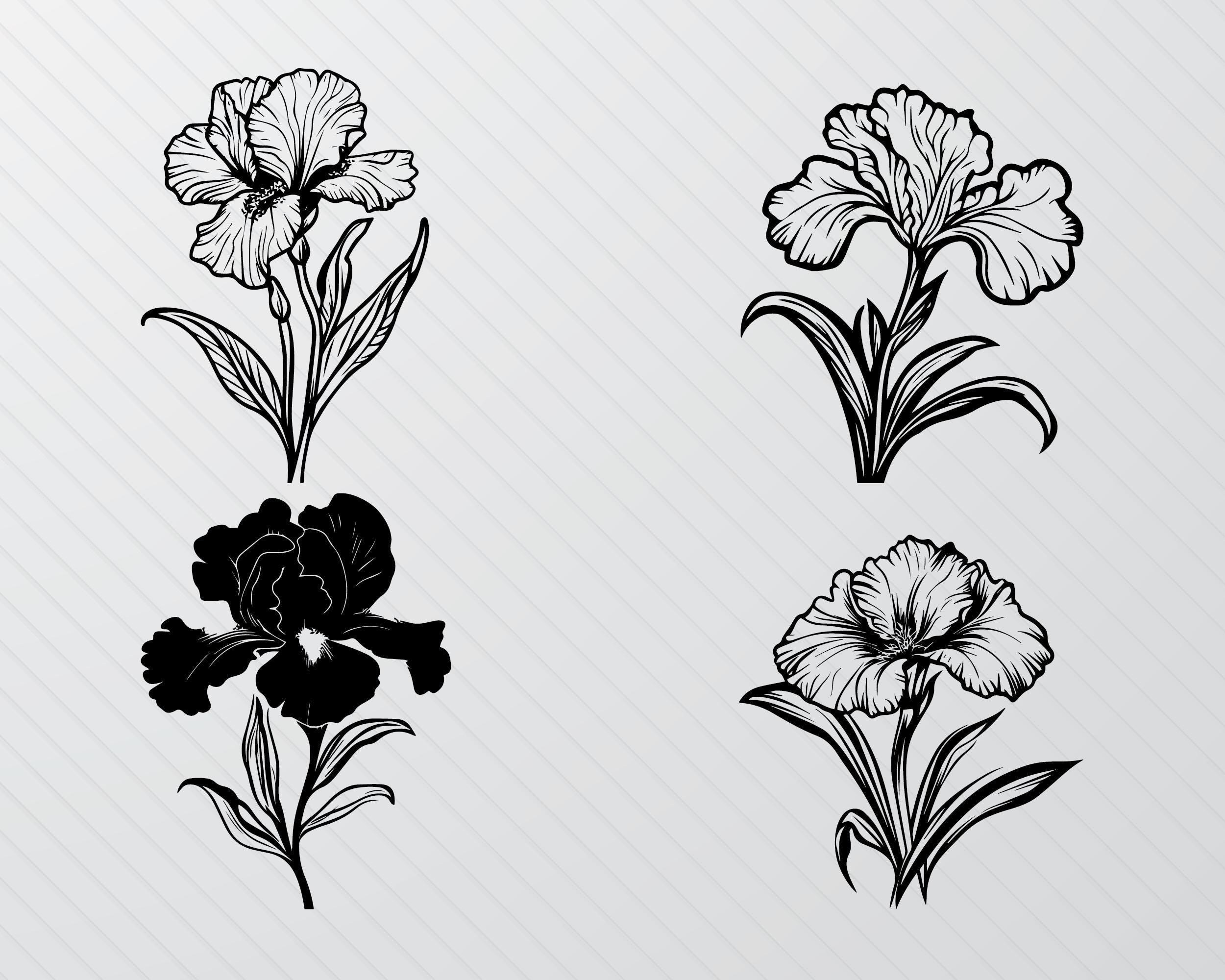 Iris Flower SVG Bundle: Floral Silhouette Vectors (digital Download) - Etsy