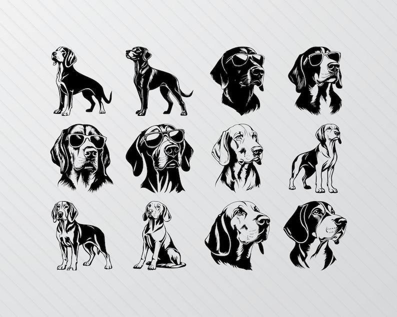 Coonhound Dog Silhouette Bundle: Clipart, Outlines, Decals (SVG, PNG ...