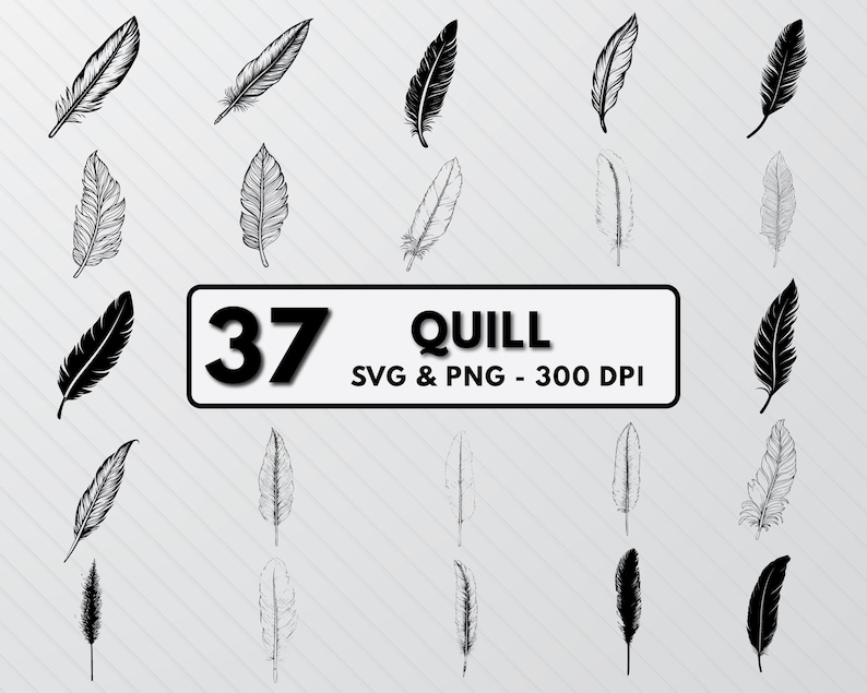 Quill PNG, Quill Silhouette SVG, Quill Vector, Quill, Quill Clipart ...