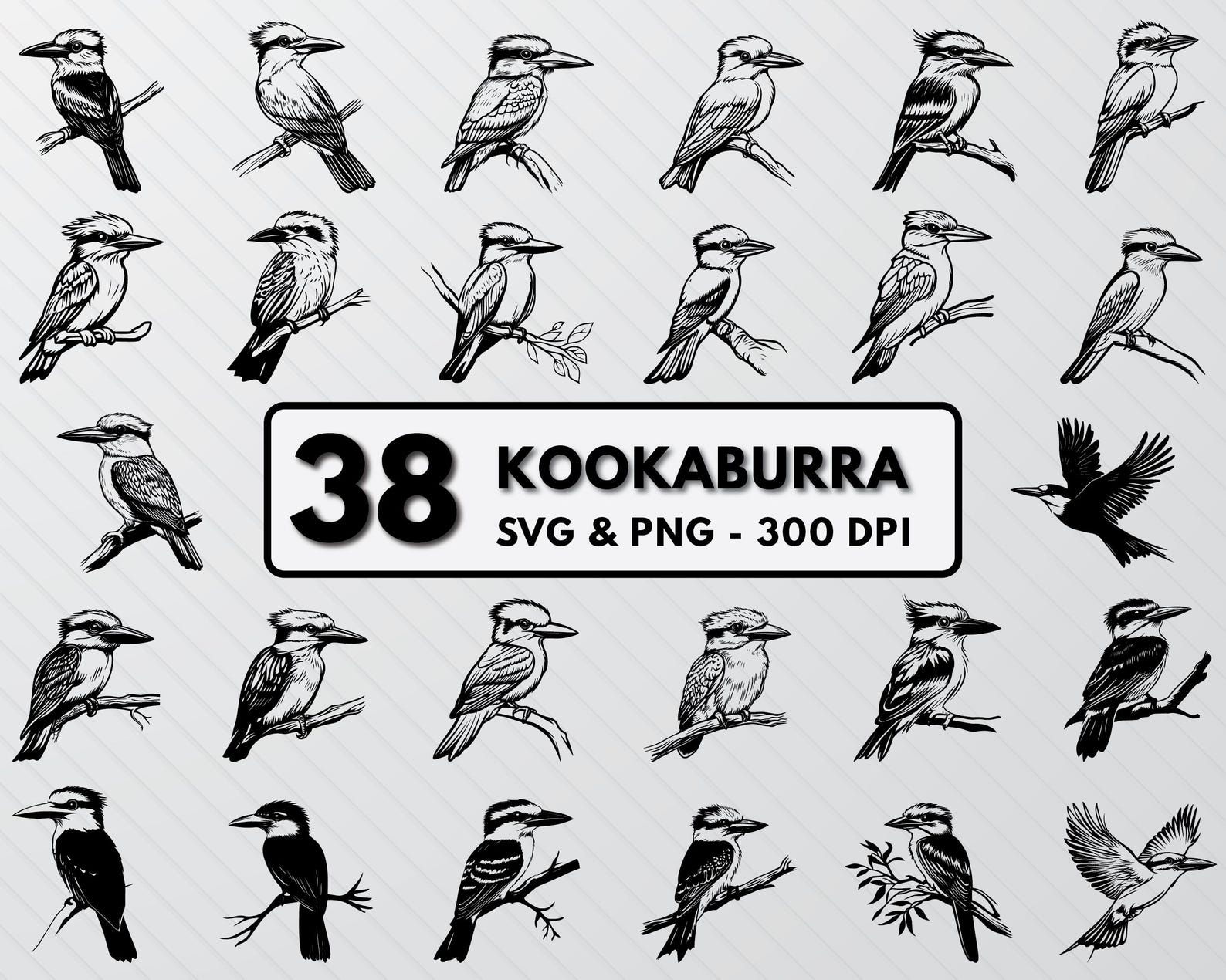 Kookaburra Svg Bundle, Kookaburra Silhouette Png, Australian Bird Svg ...