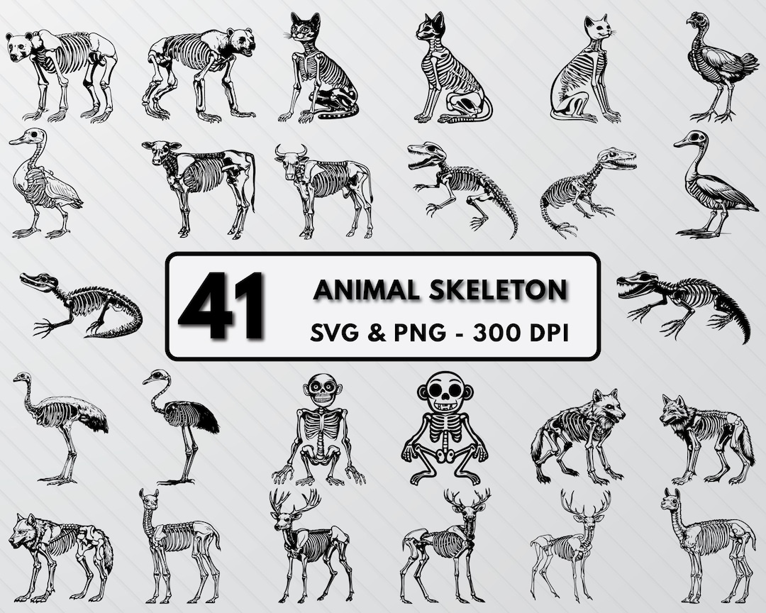 Animal Skeleton Svg Bundle, Skeleton Silhouette Png, Skeleton Design ...