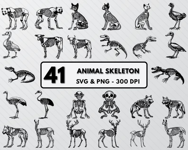 Animal Skeleton SVG Bundle: Silhouette Clipart Decal (digital Download ...