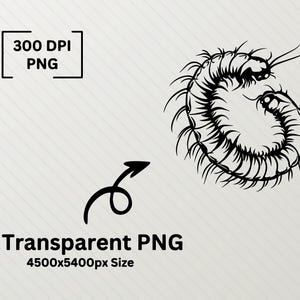 Centipede SVG Bundle: Insect Silhouette, Line Art (PNG) - Etsy