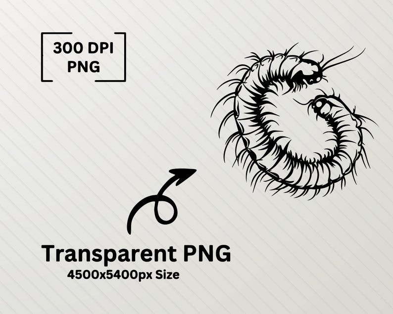 Centipede SVG Bundle: Insect Silhouette, Line Art (PNG) - Etsy