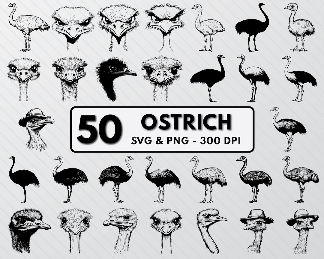 Ostrich Svg Cut Files, Running Ostrich Silhouette Png, Ostrich Vector ...