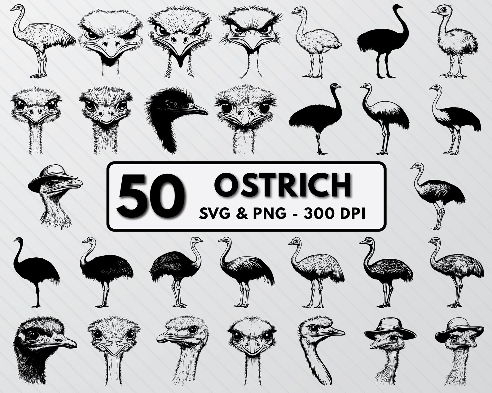Ostrich Svg Cut Files, Running Ostrich Silhouette Png, Ostrich Vector ...