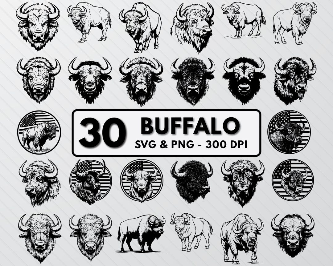 Buffalo Svg Bundle, Buffalo Silhouette Art, Buffalo Png Clipart ...