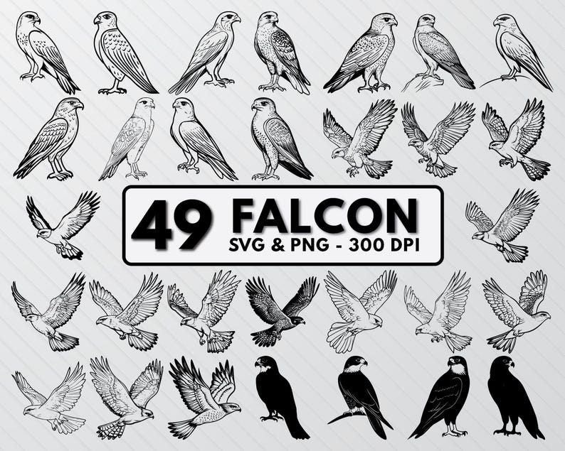 Falcon Silhouette SVG Bundle: Bird Clipart, Decal, Cricut Vector (PNG ...