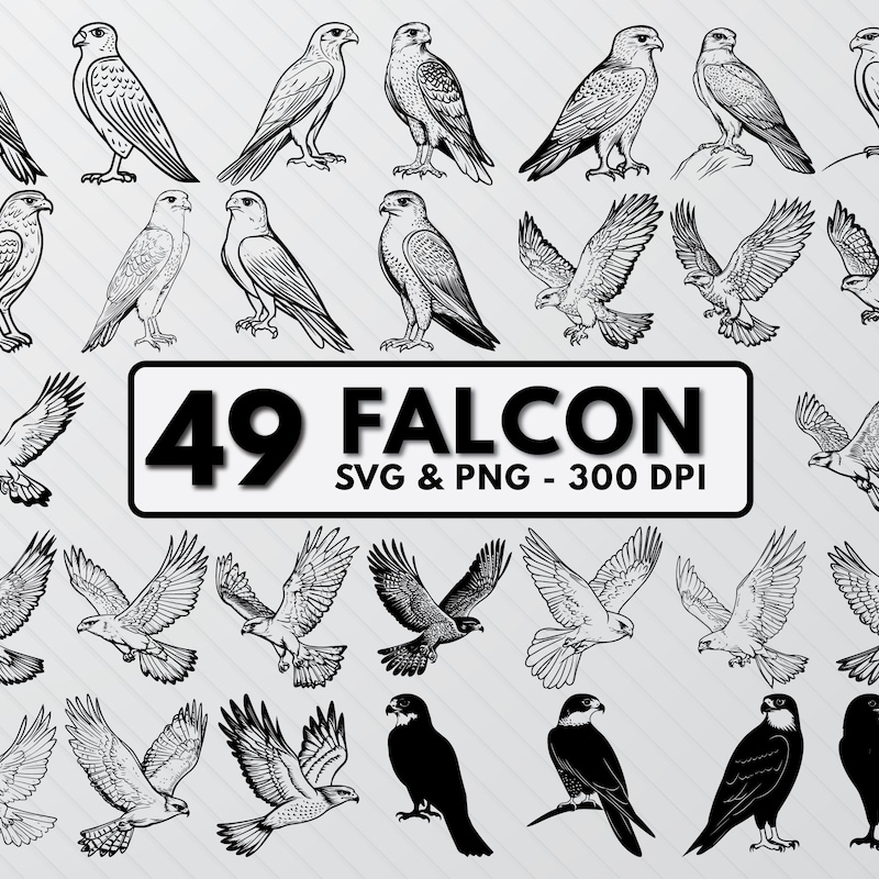 Falcons Cricut File - Etsy