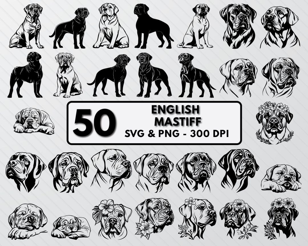 English Mastiff Svg Bundle, Mastiffs Silhouette, Mastiffs Decal Vector ...