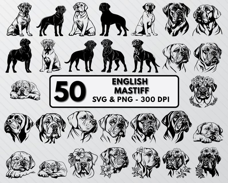 English Mastiff Svg Bundle, Mastiffs Silhouette, Mastiffs Decal Vector ...