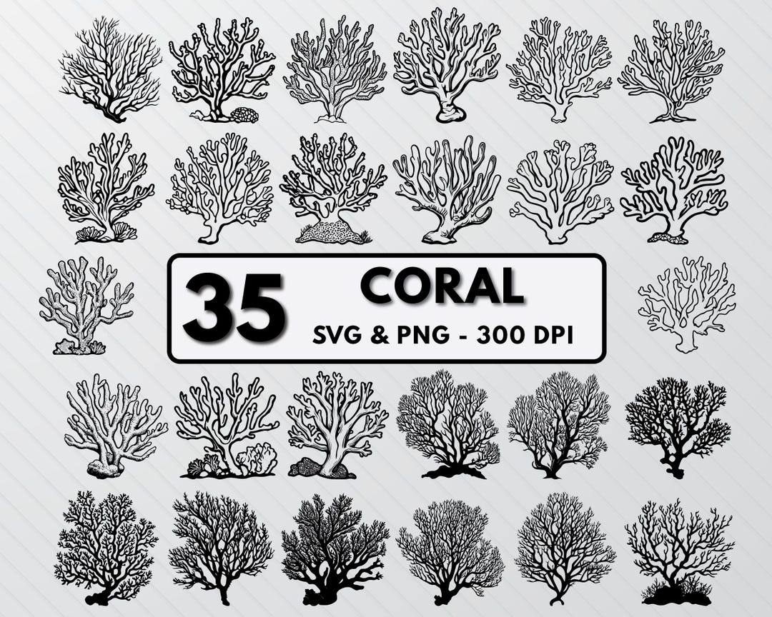Coral SVG Bundle: Reef Silhouette, Sea Plant Clipart (PNG, Vector) - Etsy