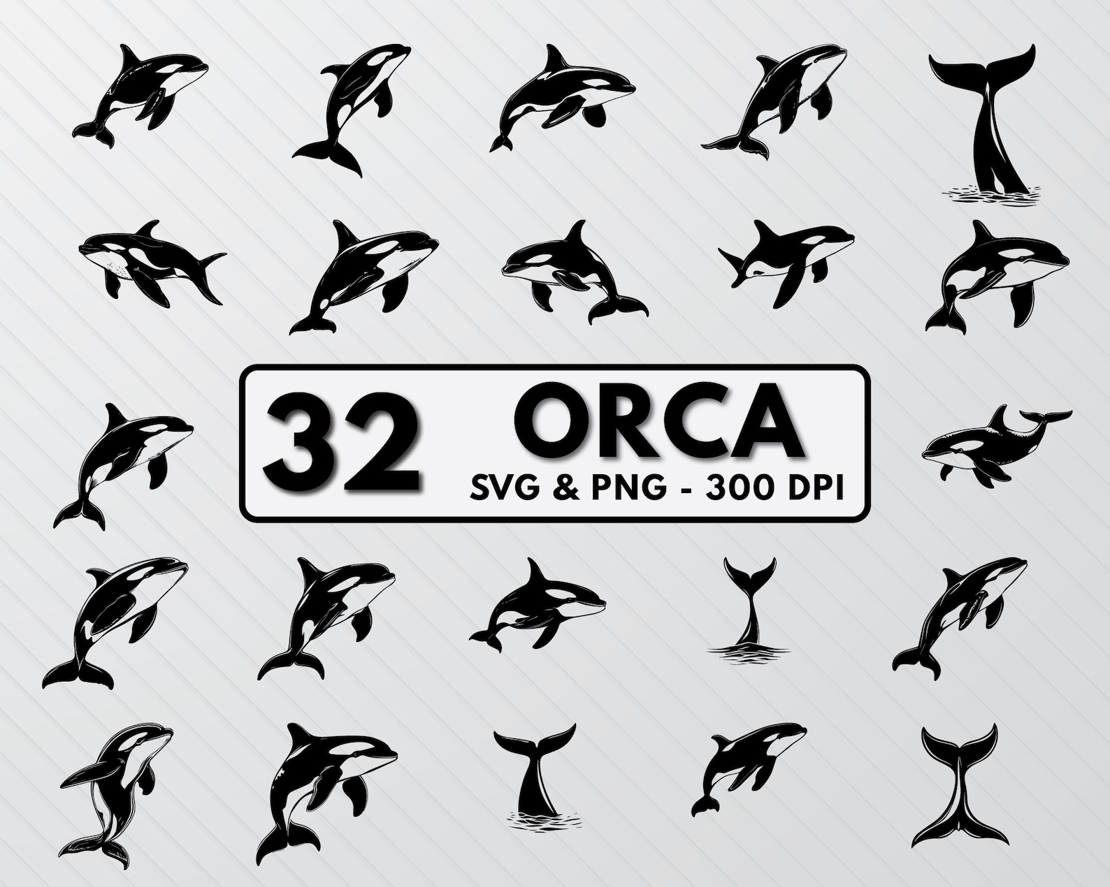 Orca Whale Silhouette SVG Bundle: Clipart, Decal, Vector Art (PNG) - Etsy
