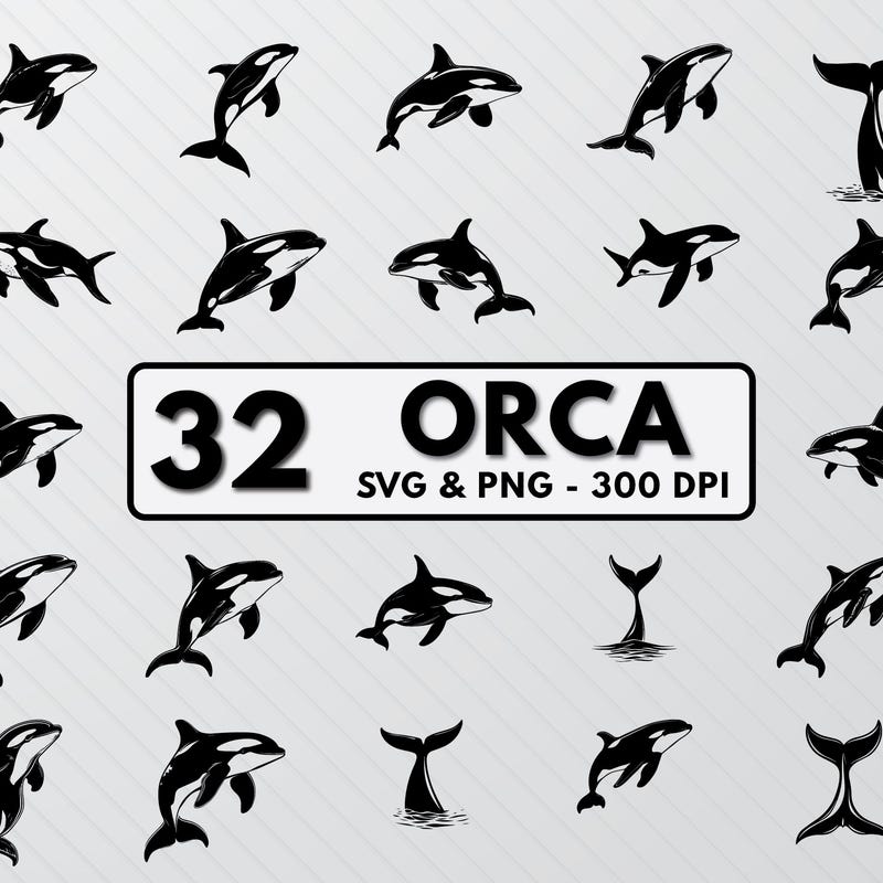 Orca Decal - Etsy