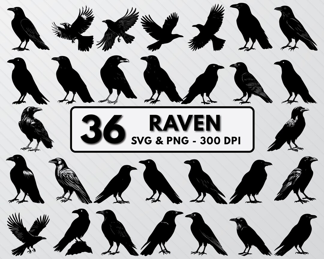 Raven Silhouette, Raven Birds Svg Bundle, Raven Clipart, Raven Icon Png ...