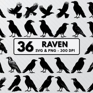 Raven Silhouette, Raven Birds Svg Bundle, Raven Clipart, Raven Icon Png ...