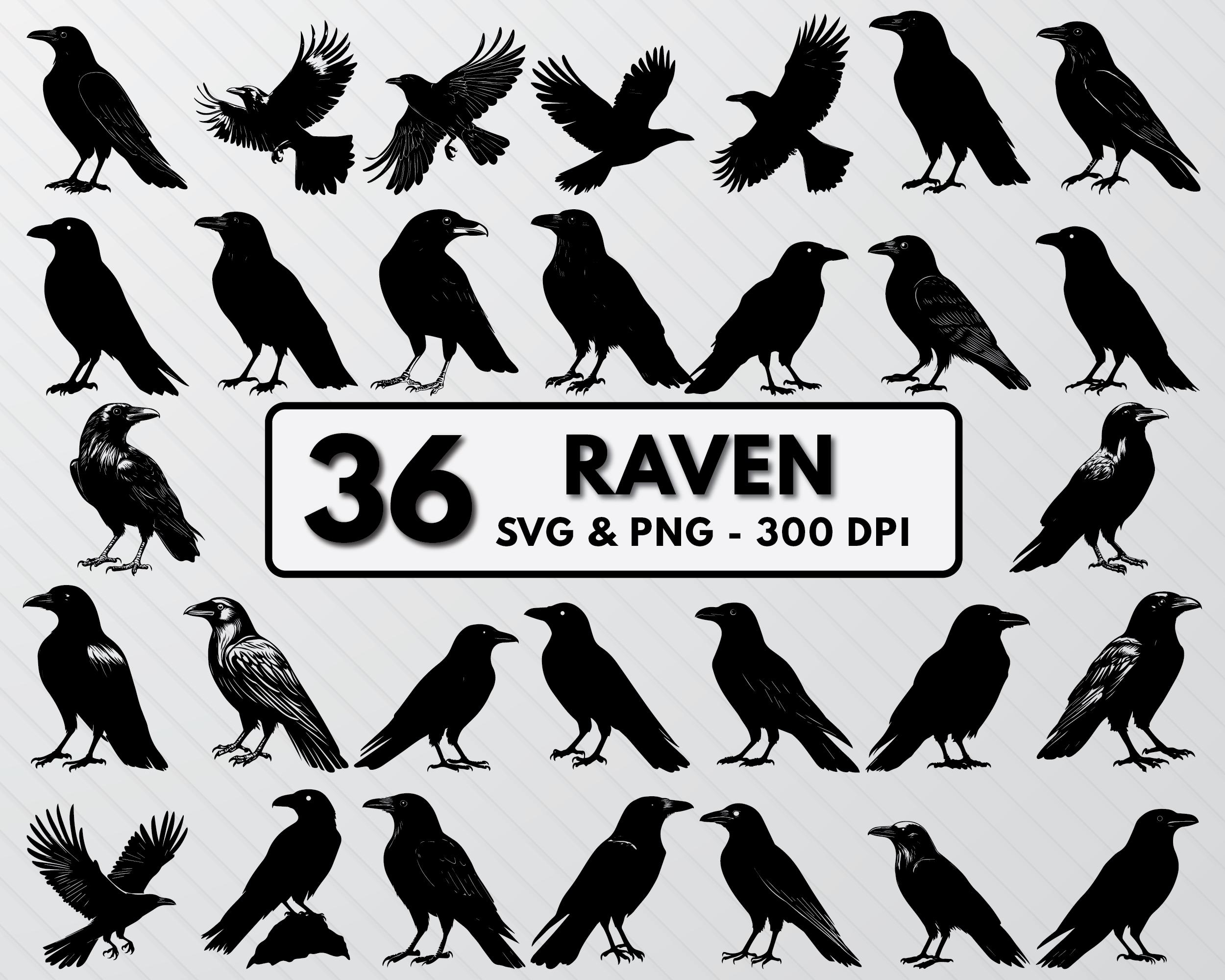 Raven Silhouette, Raven Birds Svg Bundle, Raven Clipart, Raven Icon Png ...