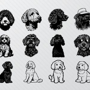 Whoodle Hund SVG, Whoodle Silhouette geschnitten Datei für Cricut ...