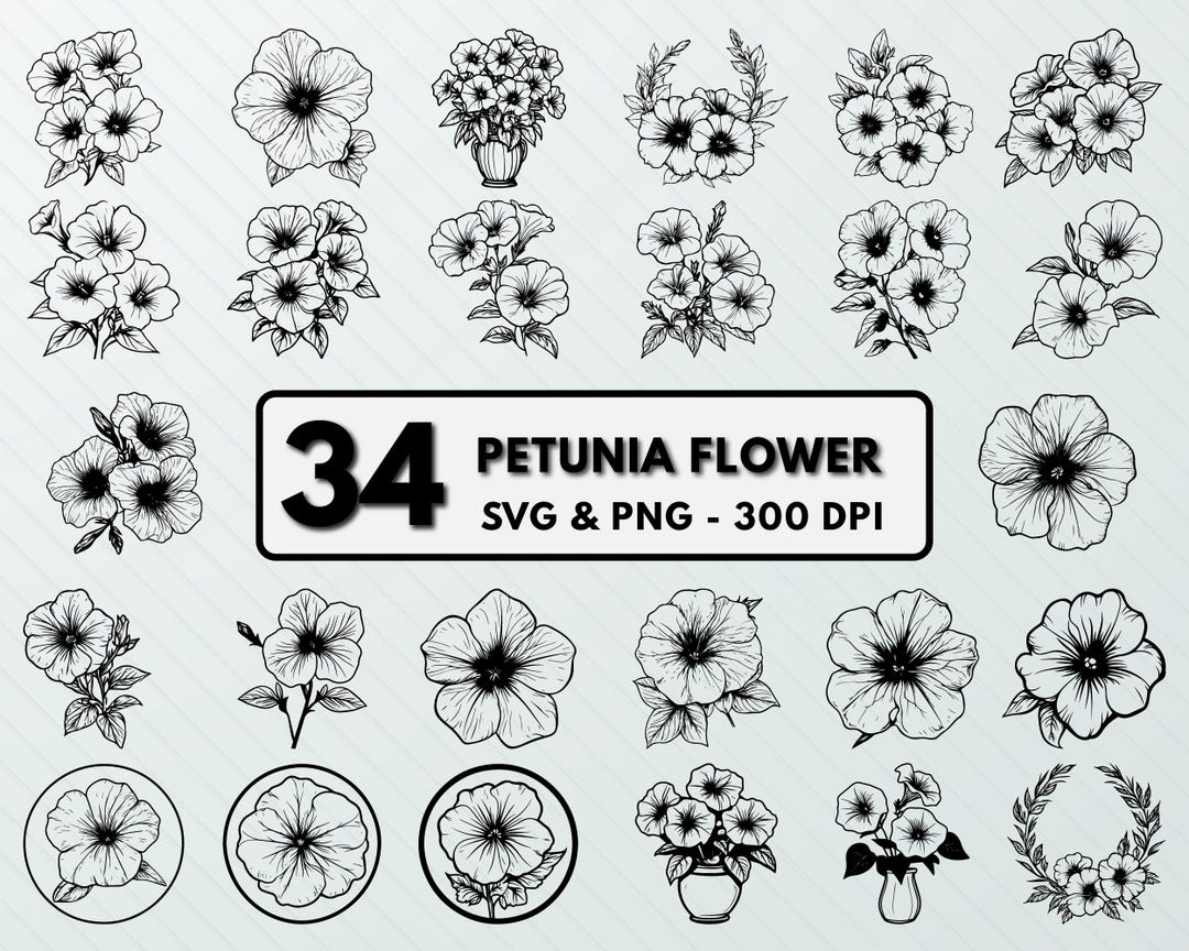 Petunia Flower Svg Png Bundle, Petunia Flower Clipart, Petunia ...