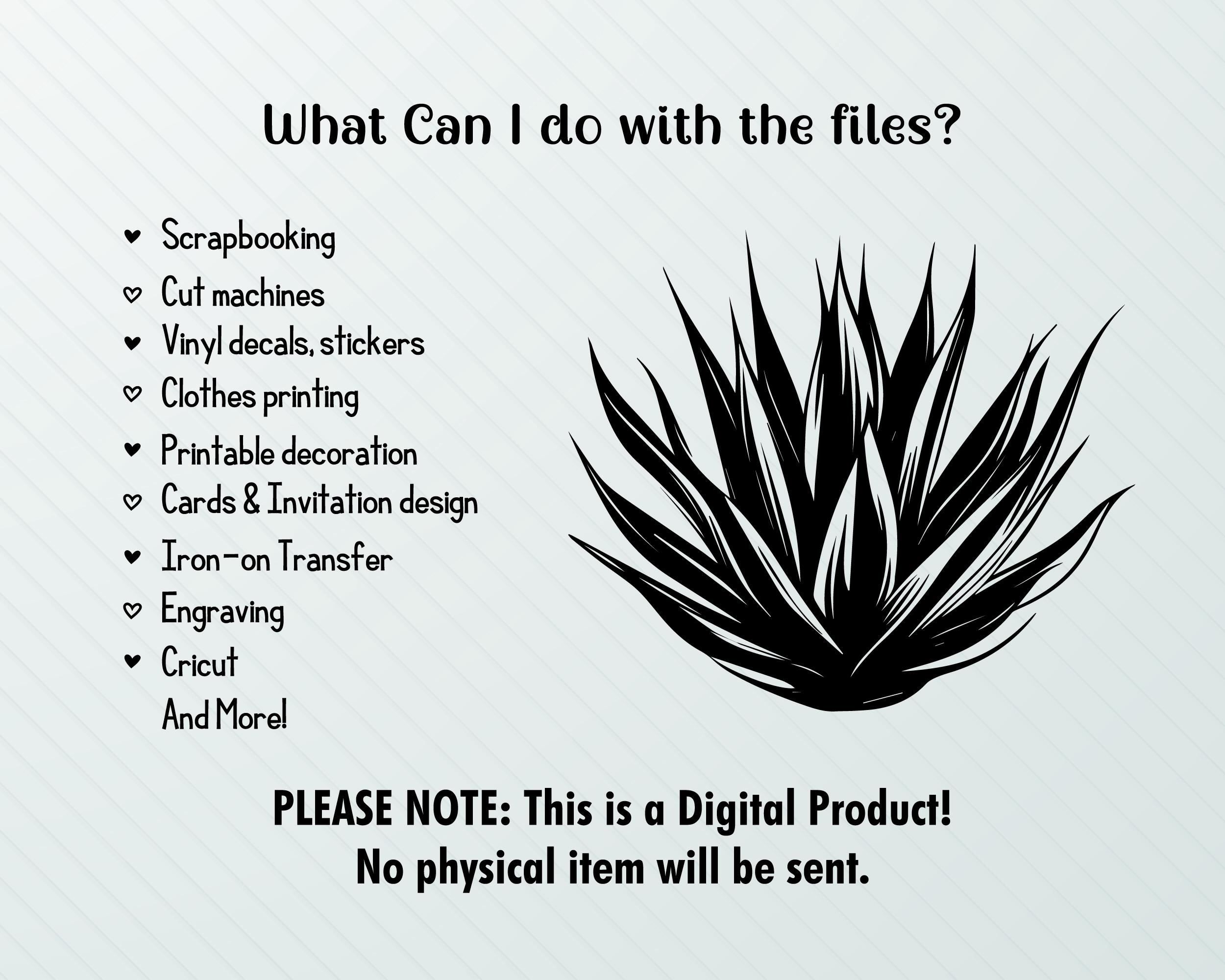 Agave Plant SVG PNG: Clipart Silhouette Vector Cut Files - Etsy