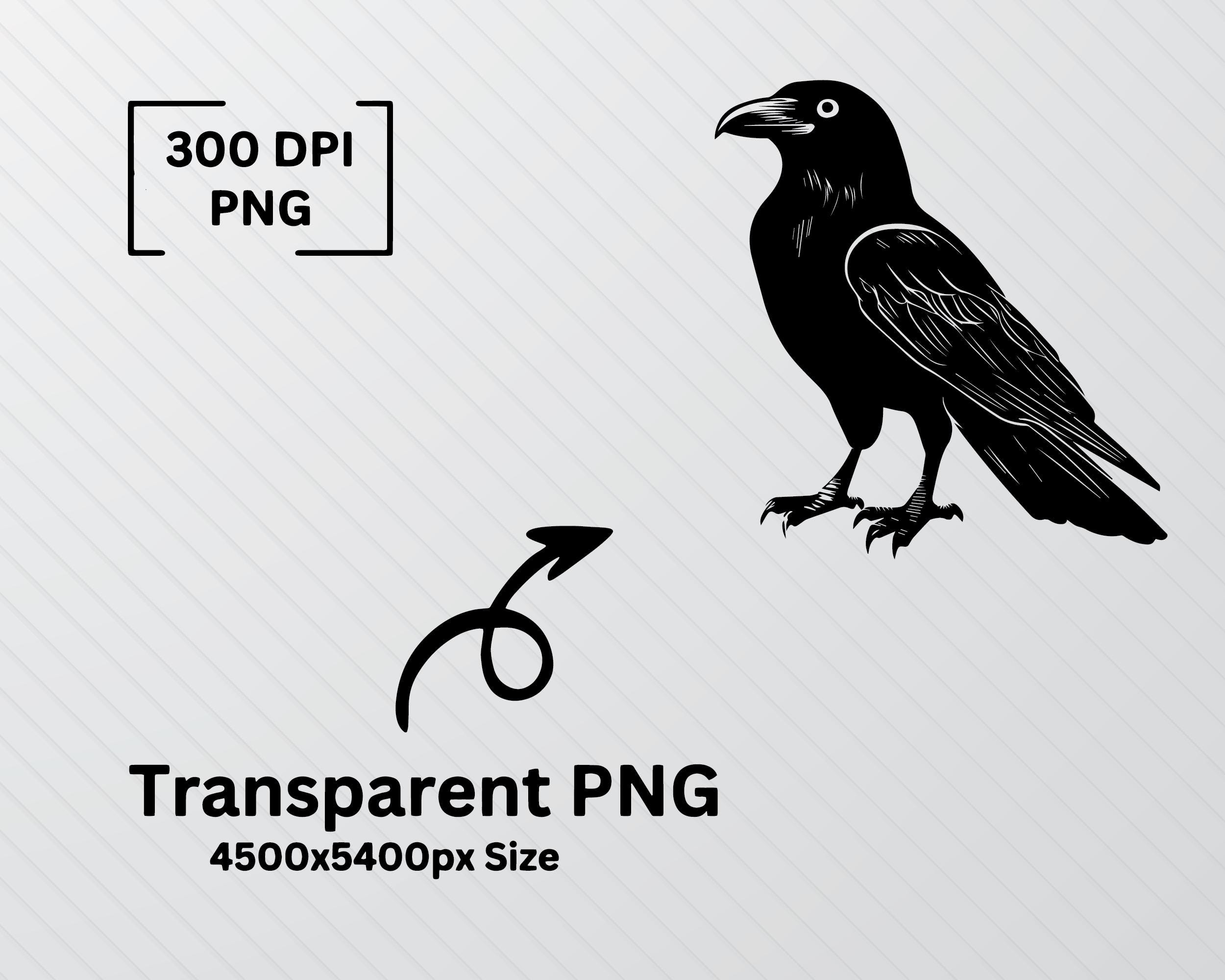 Raven Silhouette, Raven Birds Svg Bundle, Raven Clipart, Raven Icon Png ...