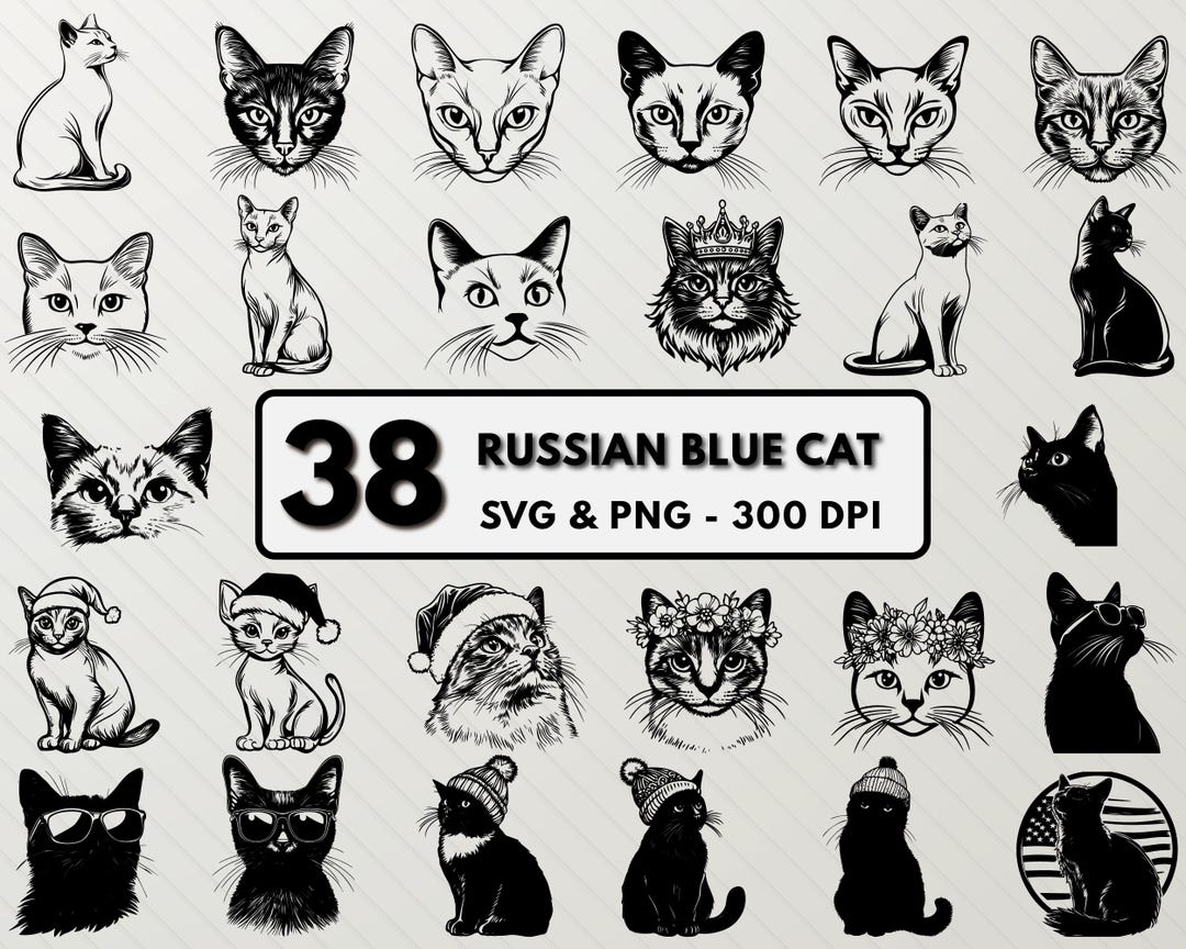 Russian Blue Cat SVG Bundle, Kitten Clipart, Outline Cut Files (PNG ...