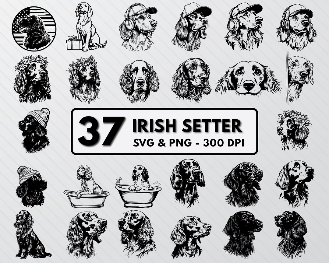 Irish Setter Svg Bundle, Irish Setter Dog Silhouette, Irish Setter ...