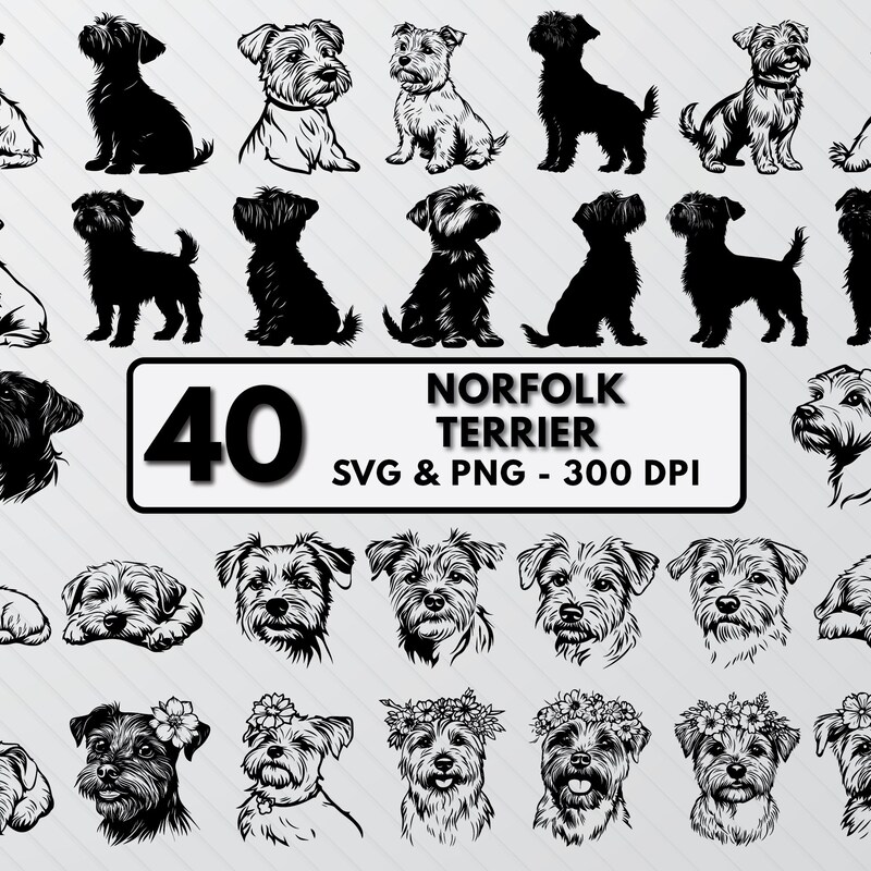 Norfolk Terrier Prints - Etsy