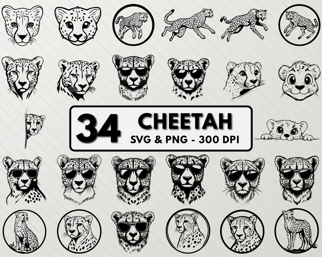 Cheetah Silhouette SVG Bundle: Leopard Line Art Clipart (PNG) - Etsy