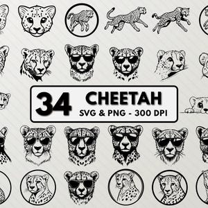 Cheetah Silhouette SVG Bundle: Leopard Line Art Clipart (PNG) - Etsy