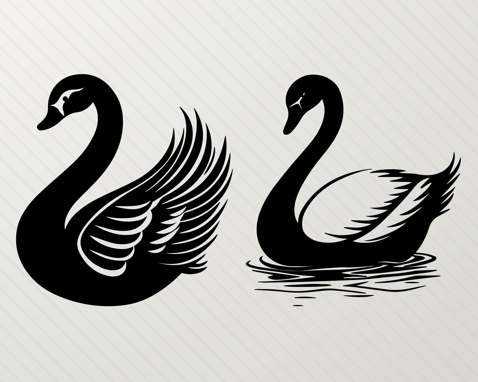 Swan SVG Bundle: Cygnets Line Art, Black Swan Clipart (PNG) - Etsy