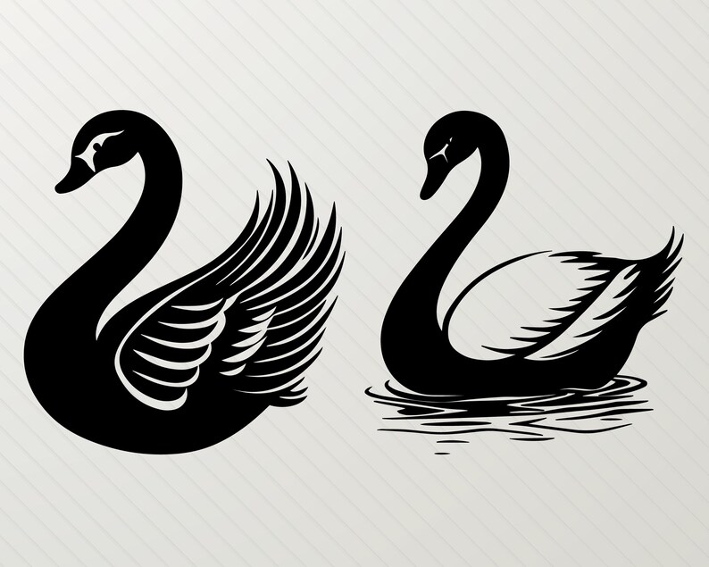 Swan SVG Bundle: Cygnets Line Art, Black Swan Clipart (PNG) - Etsy