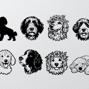Sheepadoodle Svg Bundle, Sheepadoodle Silhouette, Sheepadoodle Puppy ...