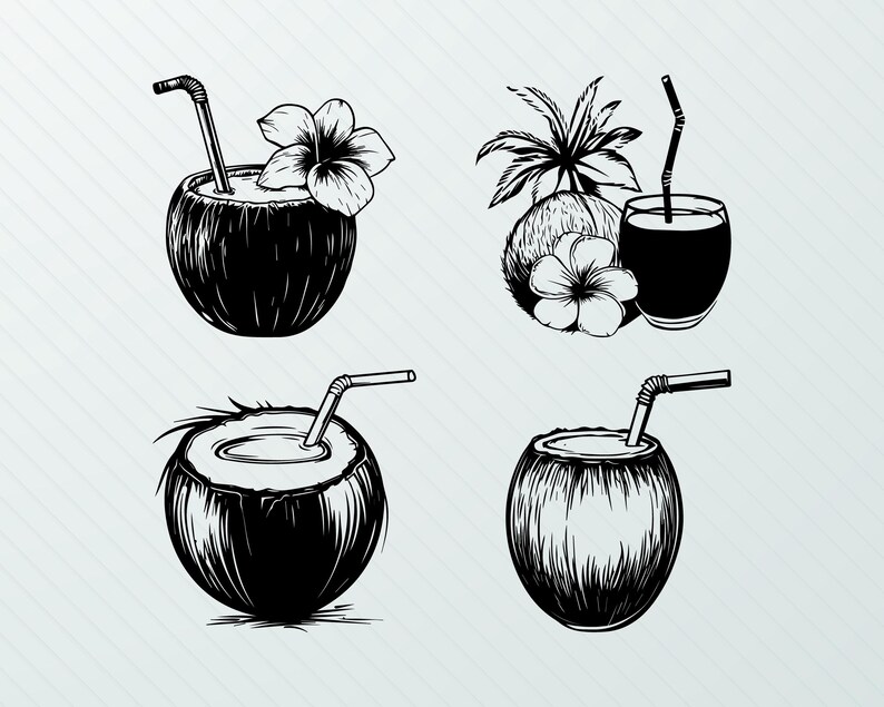 Coconut Clipart: Tropical SVG PNG Vector Designs (digital Download) - Etsy