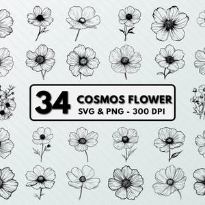 Cosmos Flower Svg, Cosmos Flower Png, Birth Month Flower, Decal ...