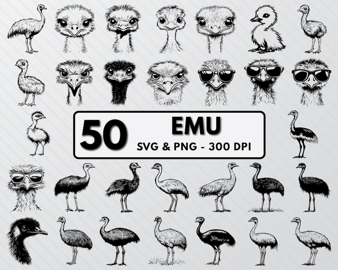 Emu Svg Cut Files, Australian Emu Silhouette Png, Emu Vector Art, Emu ...