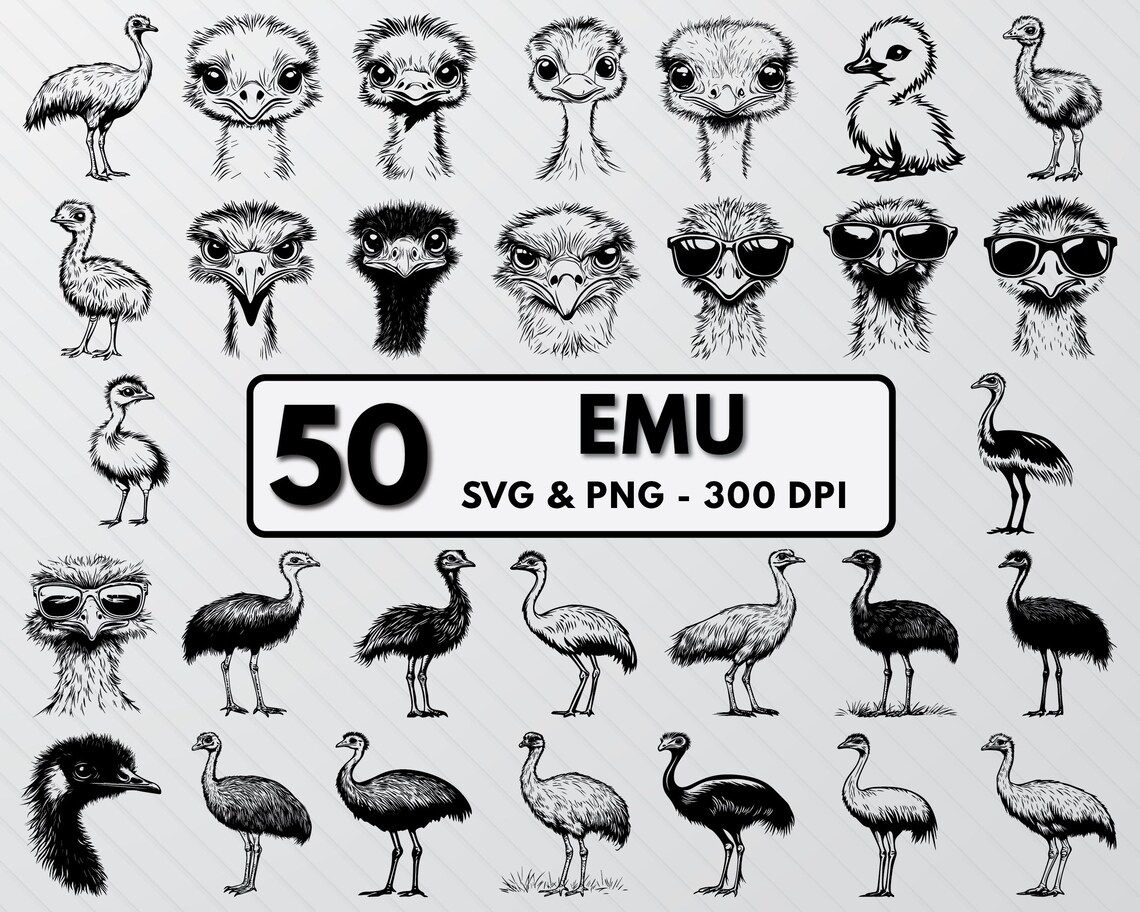 Emu Svg Cut Files, Australian Emu Silhouette Png, Emu Vector Art, Emu ...