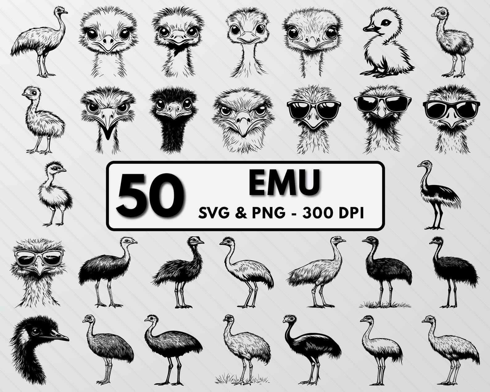 Emu Svg Cut Files, Australian Emu Silhouette Png, Emu Vector Art, Emu ...