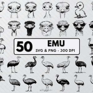 Emu Svg Cut Files, Australian Emu Silhouette Png, Emu Vector Art, Emu ...