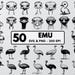 Emu SVG Cut Files: Australian Emu Silhouette PNG, Vector Art (digital ...