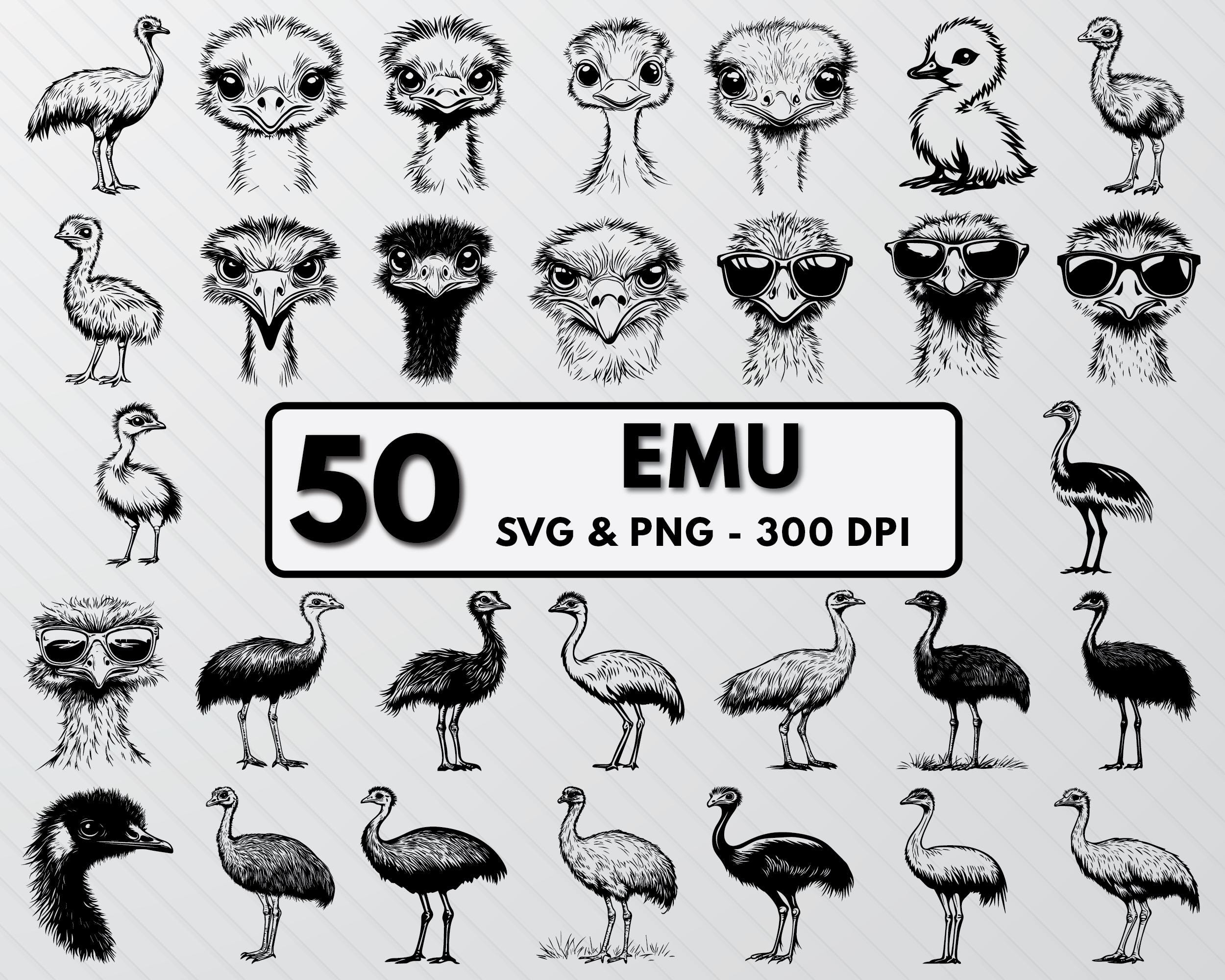 Emu Svg Cut Files, Australian Emu Silhouette Png, Emu Vector Art, Emu ...