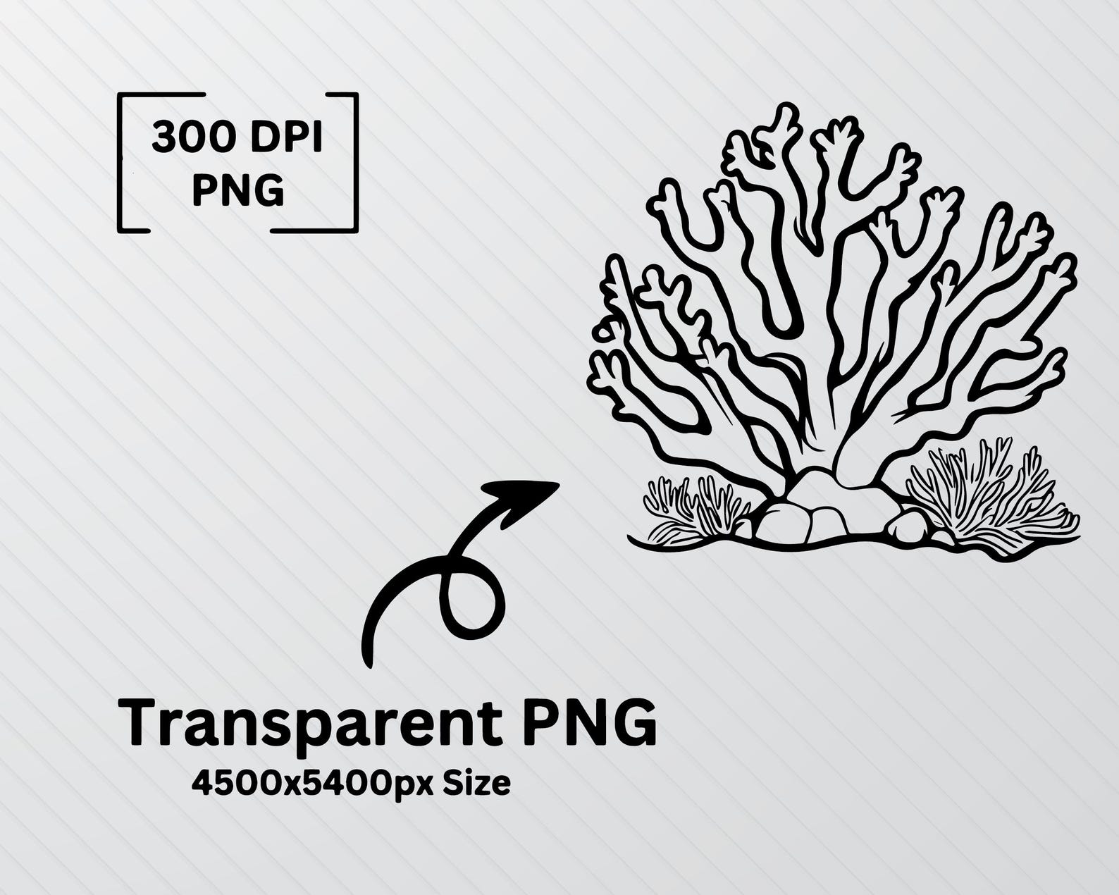 Coral SVG Bundle: Reef Silhouette, Sea Plant Clipart (PNG, Vector) - Etsy