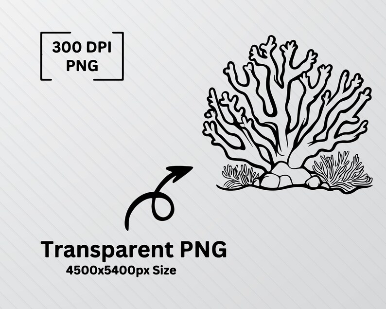 Coral SVG Bundle: Reef Silhouette, Sea Plant Clipart (PNG, Vector) - Etsy