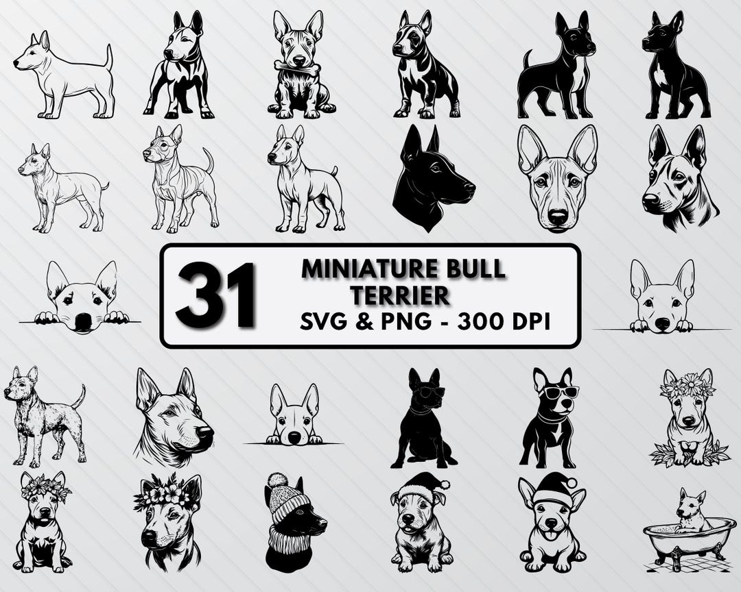 Miniature Bull Terrier Svg Bundle, Miniature Bull Terrier Silhouette ...