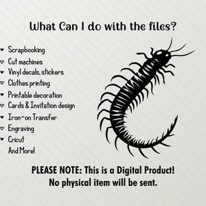 Centipede SVG Bundle: Insect Silhouette, Line Art (PNG) - Etsy