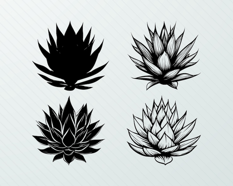 Agave Plant SVG PNG: Clipart Silhouette Vector Cut Files - Etsy
