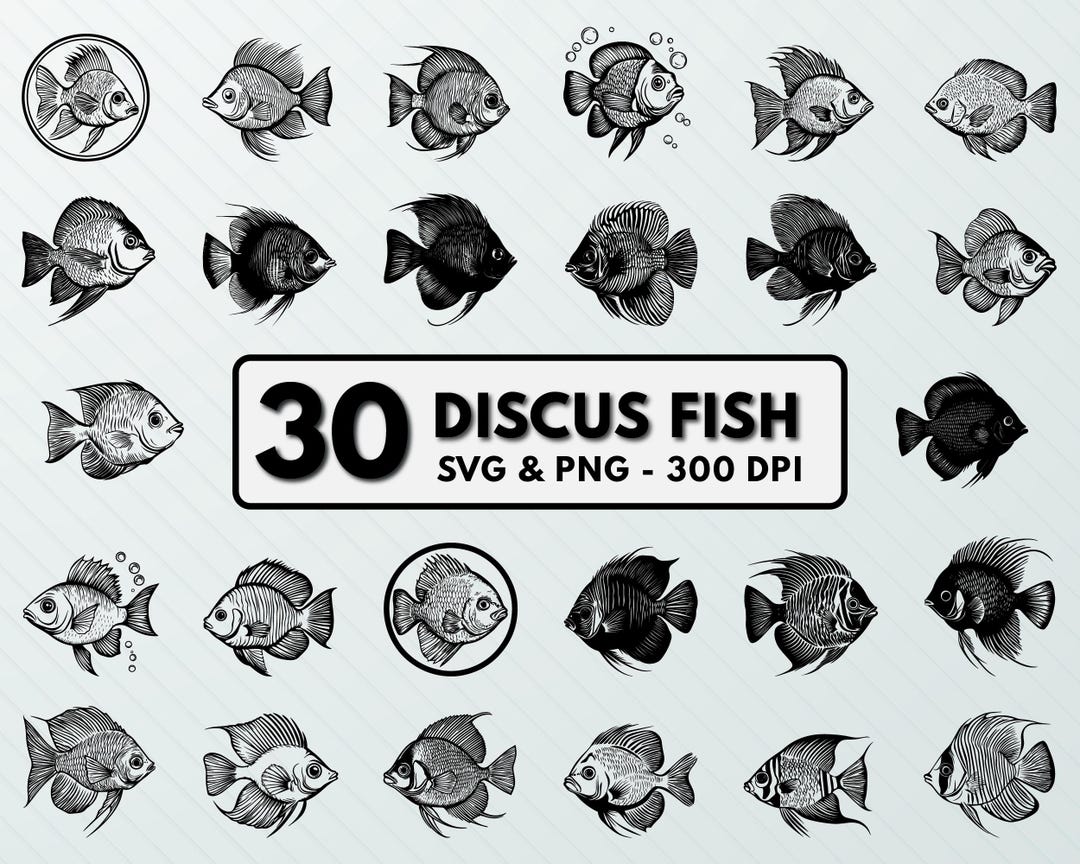 Discus Fish Svg Png Bundle, Discus Fish Silhouette, Discus Fish Clipart ...