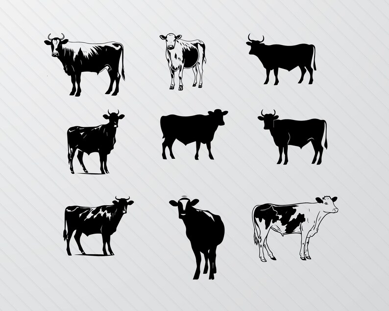 Cow Svg Bundle, Cows Silhouette, Cute Cow Clipart Png, Highland Cow ...