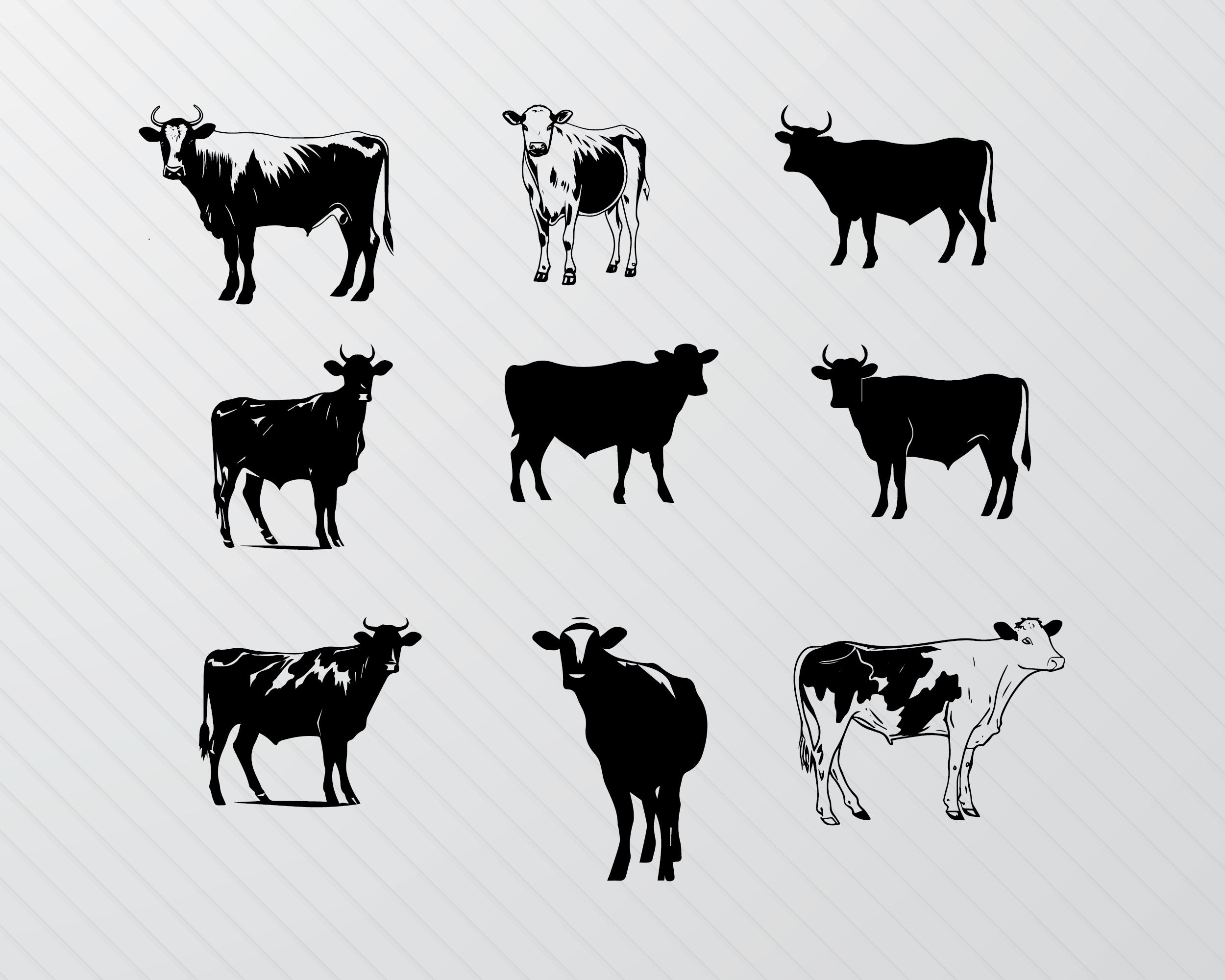 Cow Svg Bundle, Cows Silhouette, Cute Cow Clipart Png, Highland Cow ...