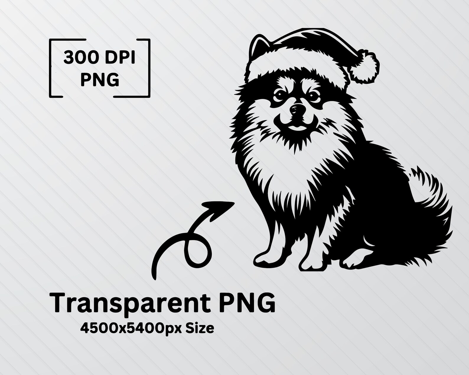 German Spitz Svg Bundle, German Spitz Dog Silhouette Svg, Dog Breeds ...